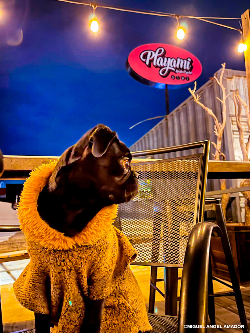 Playami - Border Psycho Brewery